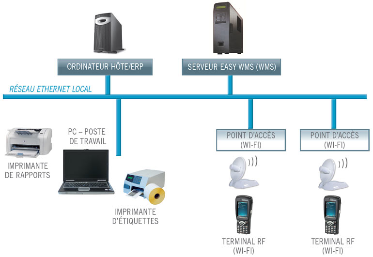 Qu'est-ce qu'un WMS ? - Mecalux.fr
